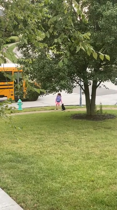 Cat Waits With Girl at Bus Stop to Safely Send Her to School | Jukin ...