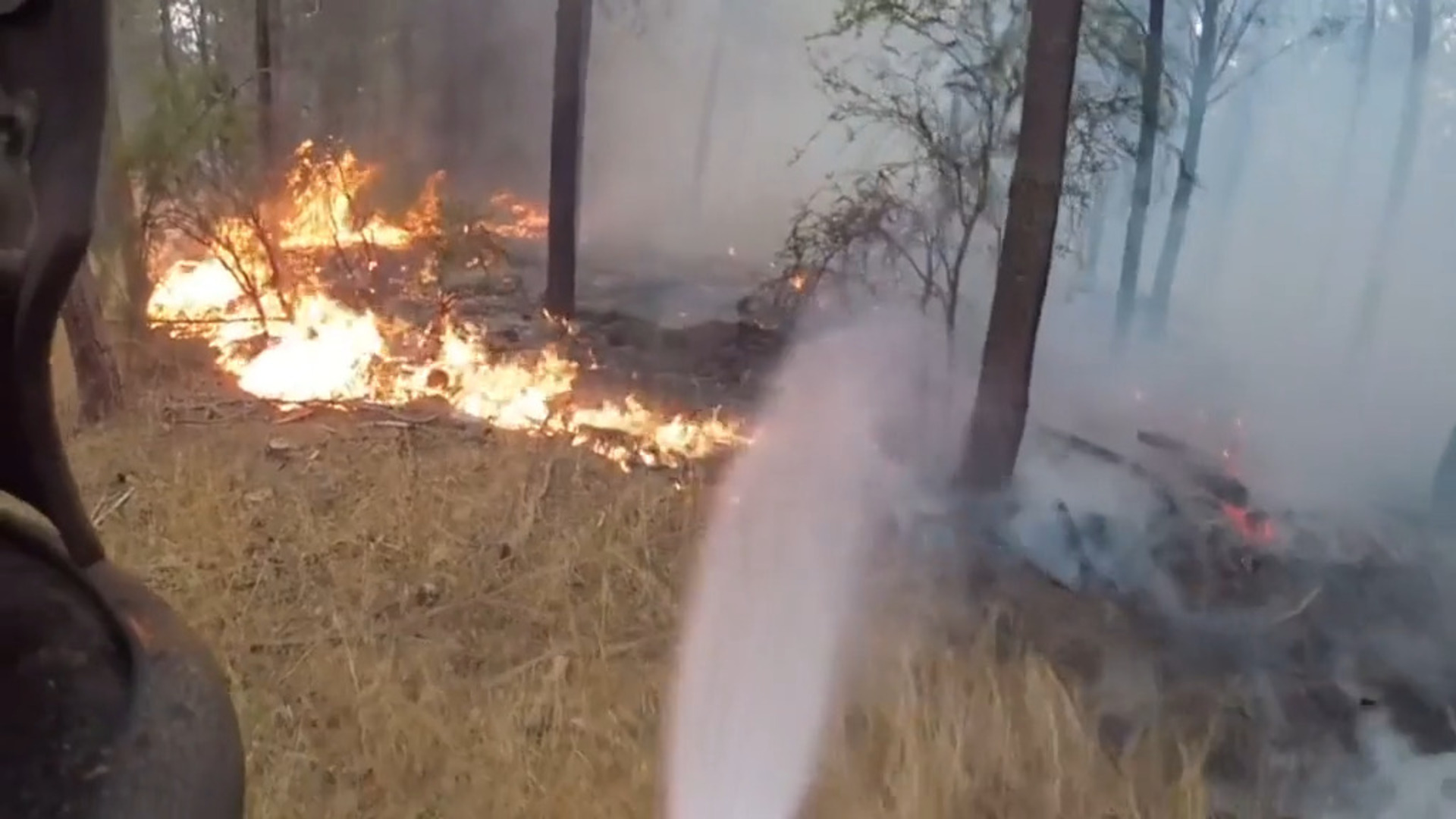 Firefighters Bravely Fight Raging Wildfire | Jukin Licensing