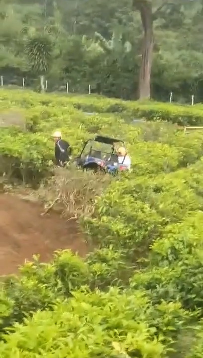 Guys Crash ATV Into Bush | Jukin Licensing