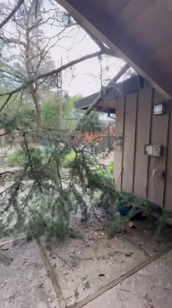 Tree Falls on Roof of House Crushing Bedroom After Windstorm in ...