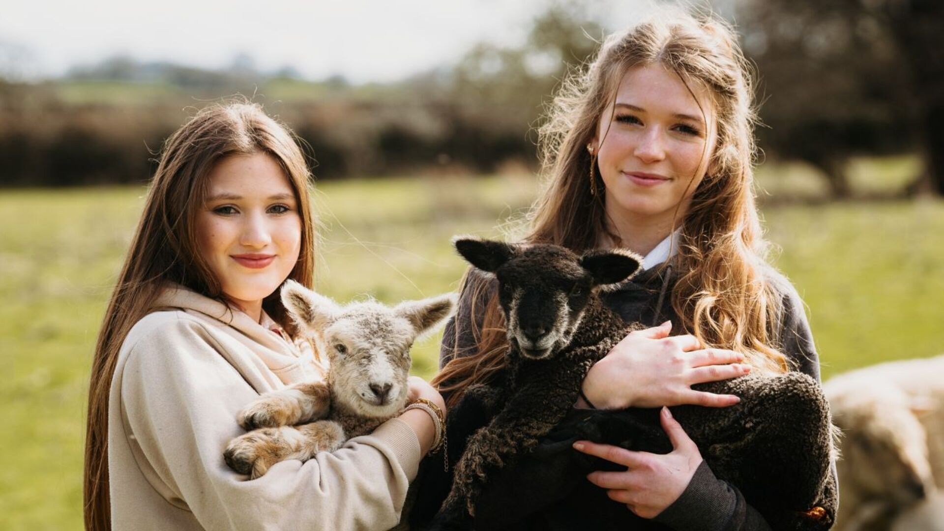 Family Gets Shocked After Sheep Gives Birth to Rare Twin Lambs of ...