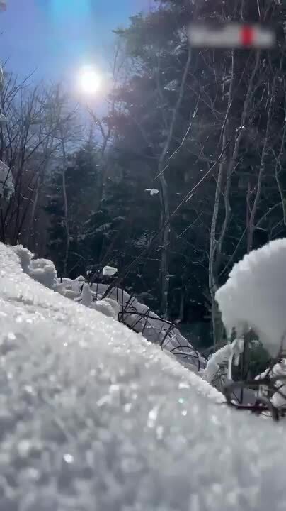 Person Demonstrates Hoar Frost Growing Up on Snow in Lake Blanche ...