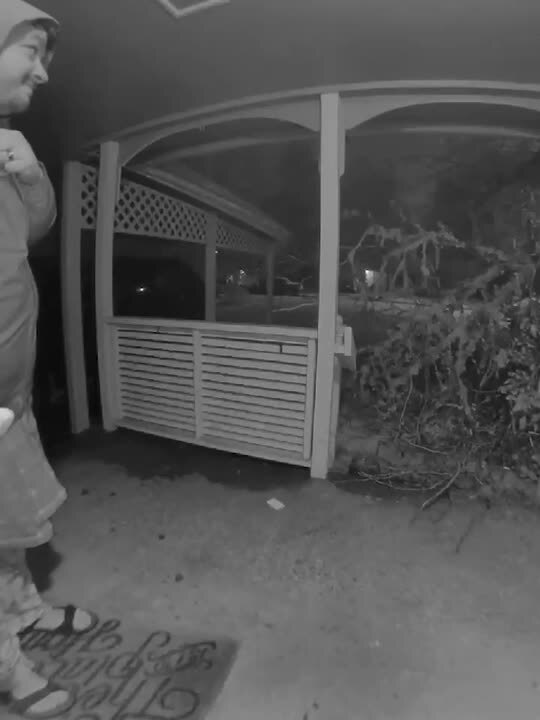 Huge Tree Branch Snaps Unexpectedly During Light Rain in Oregon, USA ...