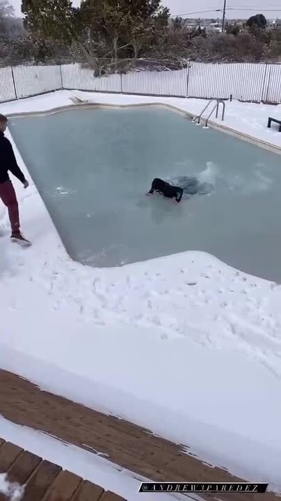Person Falls Into Frozen Pool While Trying to Moonwalk Over it | Jukin ...