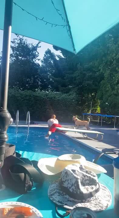 Woman Trying to Keep Hair Dry Accidentally Falls Into Pool | Jukin ...