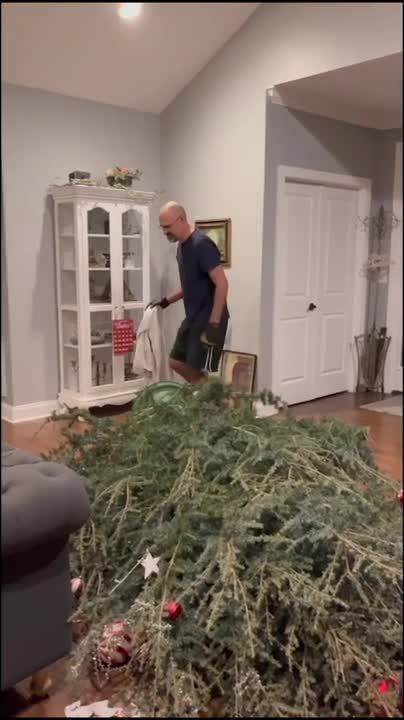 Christmas Tree Collapses in Middle of Night Shattering All of Its Glass ...