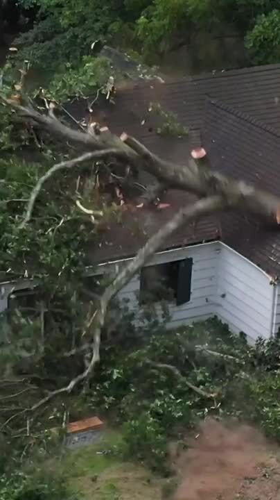 Tree Falls Down on House While Being Cut | Jukin Licensing