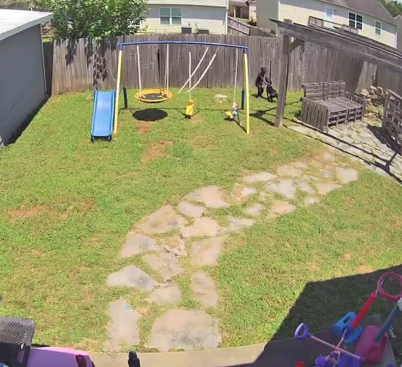 Kids Get Terrified When Friendly Dog Chases Them to Play | Jukin Licensing