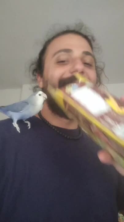 Bird Imitates Owner's Screams and Takes Turns Yelling Into Empty Snack ...
