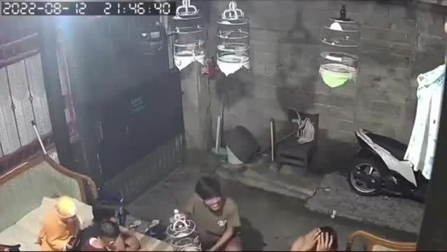 Guy Knocks Down Bird Cage Hanging Overhead While Jumping Excitedly To ...