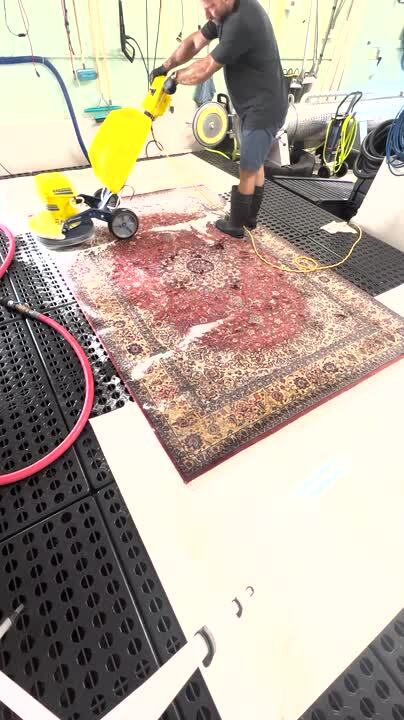 Man Deep Cleans a Dirty Rug | Jukin Licensing
