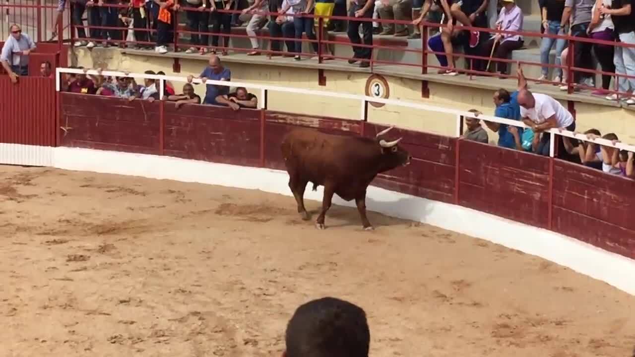 Angry Bull Inside Rink Jumps Over Fence While Chasing Guy | Jukin Licensing