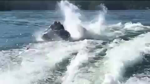 Cousins Fall Into Lake After Hitting Unexpected Wave While Tubing ...