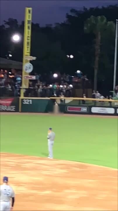 Streaker Gets Tackled at Baseball Game | Jukin Licensing