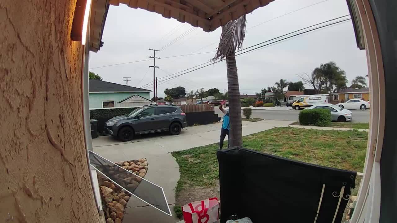 Dog Breaks Window as Delivery Guy Knocks on it | Jukin Licensing