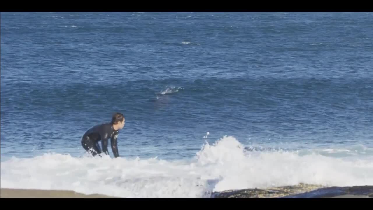 Great White Shark Chases Surfers Out of Water | Jukin Licensing