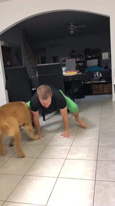 Playful Pooch is Not Interested in Doing Downward Dog | Jukin Licensing
