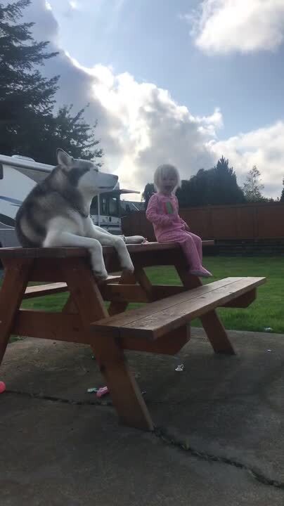 Inseparable Bond Creates Beautiful Racket | Jukin Licensing