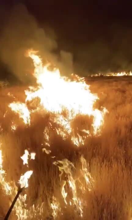 Wildland Firefighter Ignites Burn Out Fire to Cut off Wildfire in ...