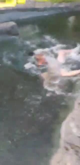 Guy Falls While Attempting to Jump From One Side of Water to Another | Jukin Licensing