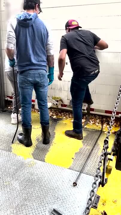 Unhinged Load Lock Causes Eggs to Break Inside Truck | Jukin Licensing