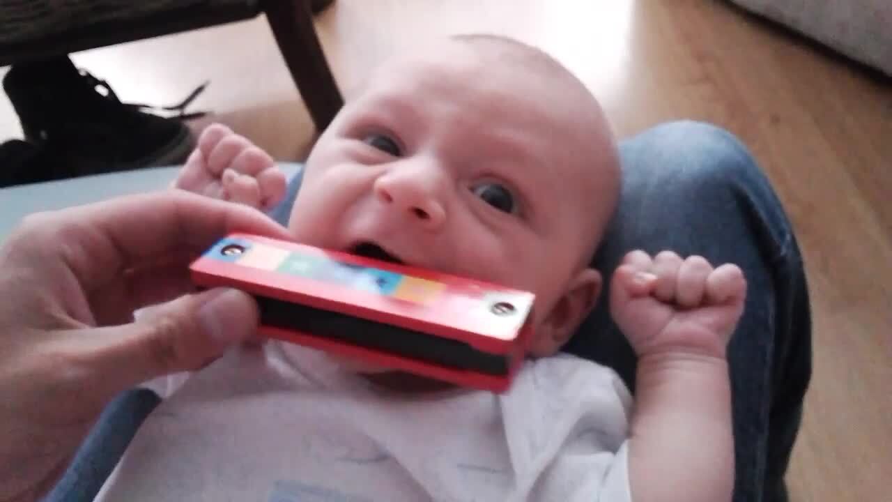 Baby Plays Harmonica | Jukin Licensing