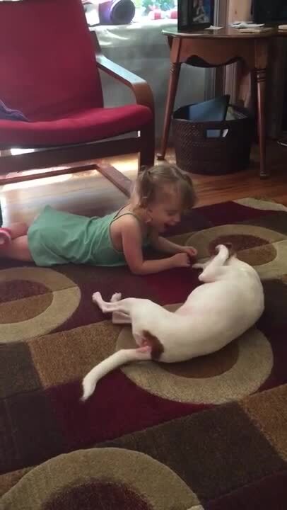 Little Girl and Dog Crawl Around Together | Jukin Licensing