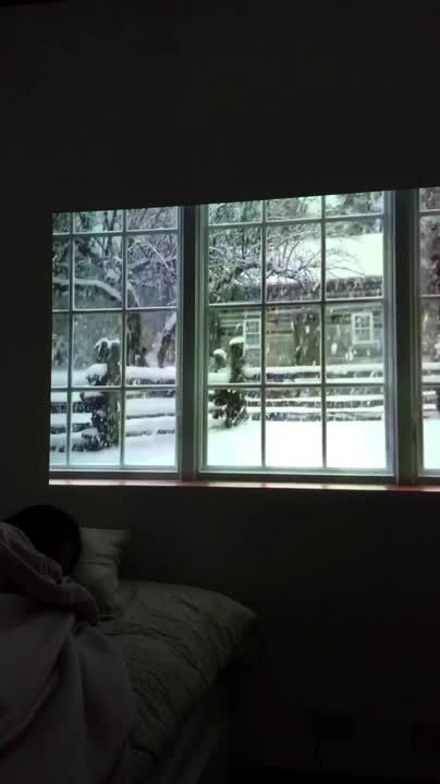 Woman Uses Projector to Give the Illusion of Different Locations ...