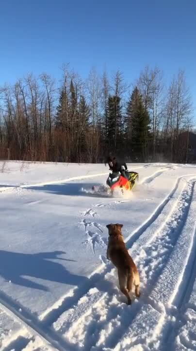 Snowmobile Scorpion Flip Fail | Jukin Licensing