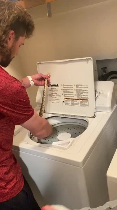 Man Finds Snake Inside Washing Machine While Fixing Rubber Seal | Jukin ...
