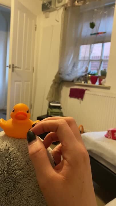 Jealous Bird Throws Away Rubber Duck As Owner Plays With It | Jukin ...