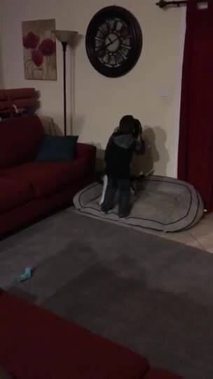 Dog Knocks Kid Over While Trying To Hug Him | Jukin Licensing