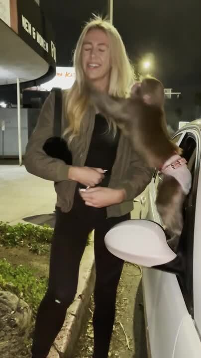 Pet Monkey Slaps Woman's Face | Jukin Licensing