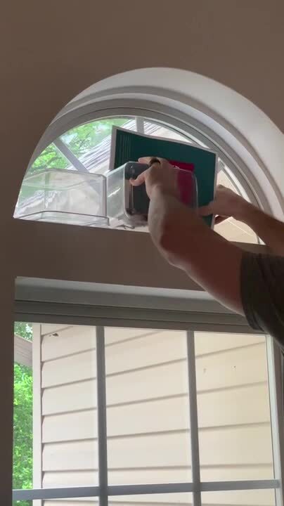 Man Catches Bird who Accidentally Flew Inside House and Releases it ...