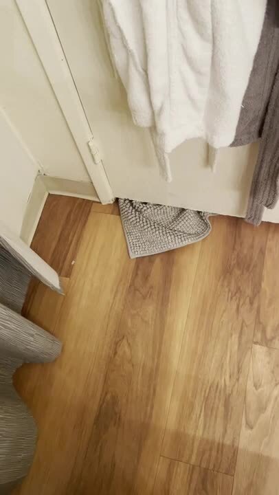 Cat Attempts to Pull Rug From Bathroom Through Space Under Closed Door ...