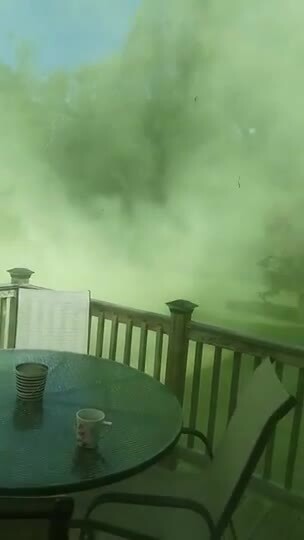 Tree Falls to Ground Releasing Huge Cloud of Pollen | Jukin Licensing