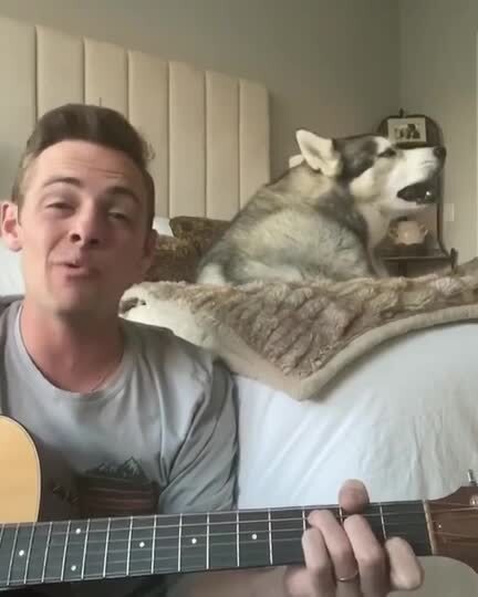 Husky Sings Along With Owner While he Plays Guitar | Jukin Licensing