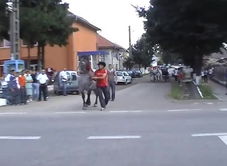 Horse Kicks Guy in Face With Both Hind Legs | Jukin Licensing