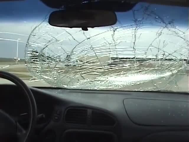 Windshield Prank Gone Wrong | Jukin Licensing