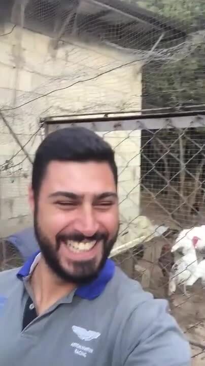 Turkey Pack | Jukin Licensing