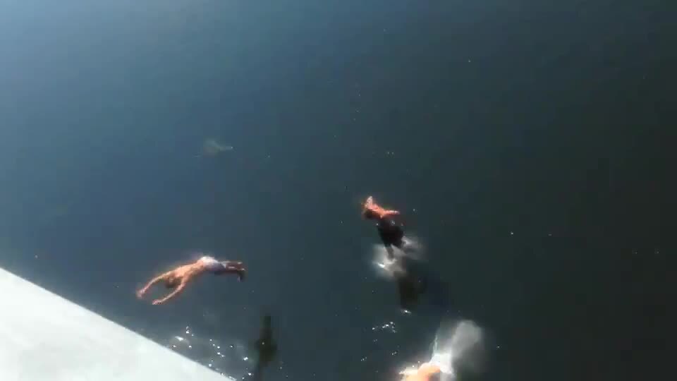 Guys Perform Synchronized Dive Off Bridge | Jukin Licensing