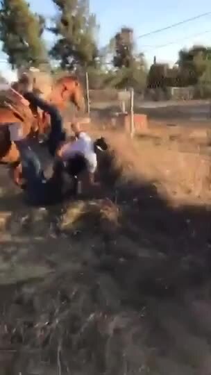 Two Guys Fall On Ground While Riding Horse | Jukin Licensing