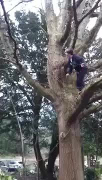 Kid Tries to Hang on Tree but Branch Snaps | Jukin Licensing