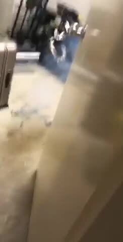 Phone Explodes as Guy Hammers it | Jukin Licensing