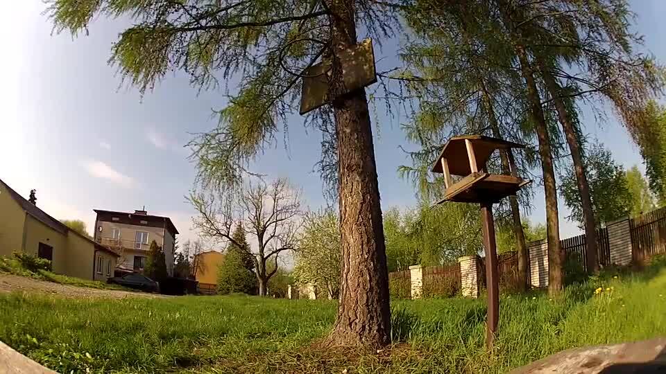 Guy Attempts to Flip Off Tree and Falls | Jukin Licensing