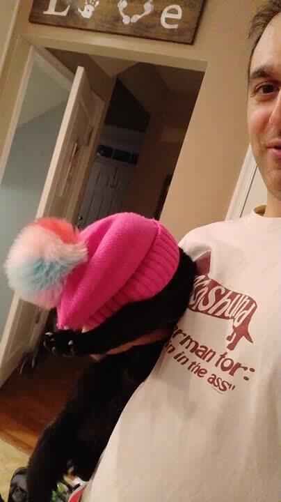 Irritated Cat Attacks Owner For Making Them Wear Hat | Jukin Licensing