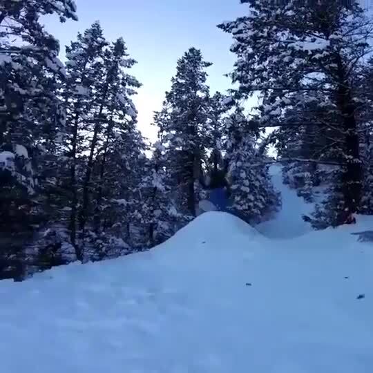 Snowboarder Crashes into Snow after Hitting Tree | Jukin Licensing