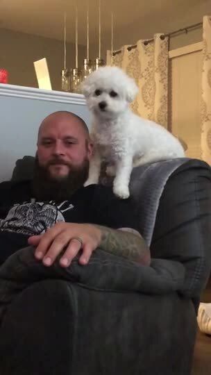 Dog Lovingly Licks Man's Head and Gives Him Kisses | Jukin Licensing