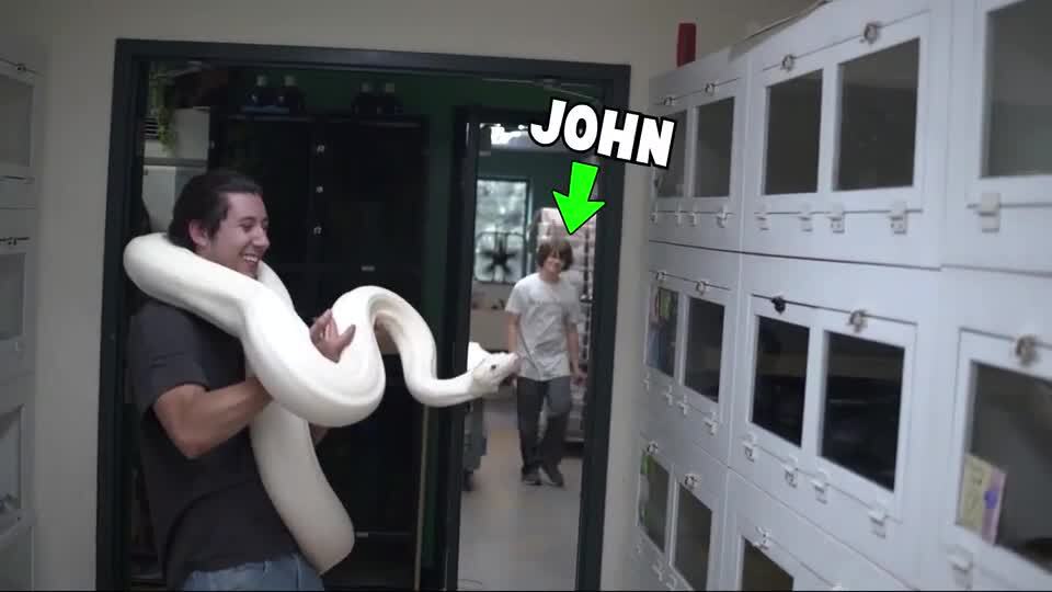 Giant Python Attacks Its Handler Out of Nervousness | Jukin Licensing
