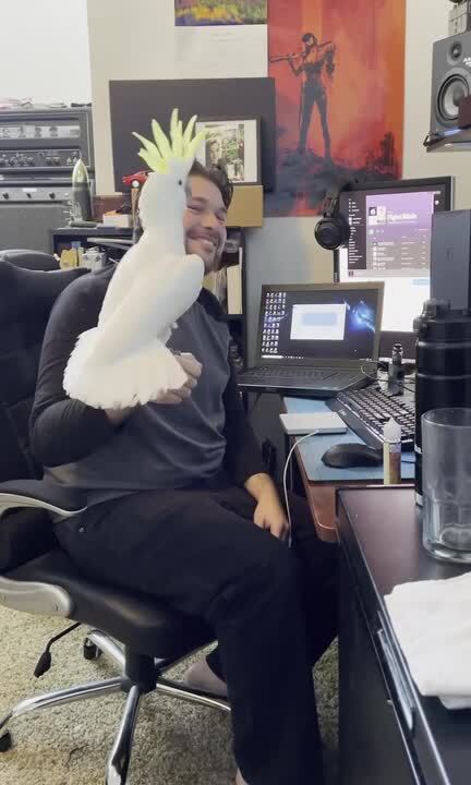 Cockatoo Head Bangs With Pet Parent And Dances To Rap Song | Jukin ...